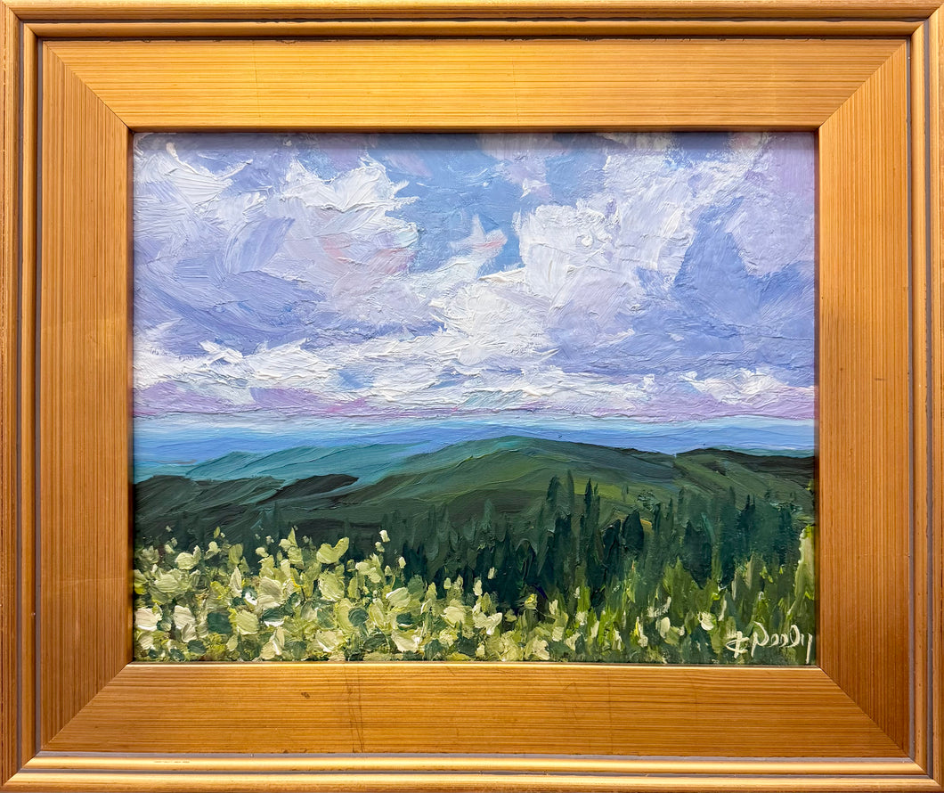 Katy Neely Art